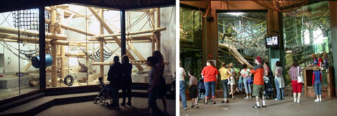 Exhibit Trends | Jon Coe Design | Zoo Design | Zoological Garden Designer